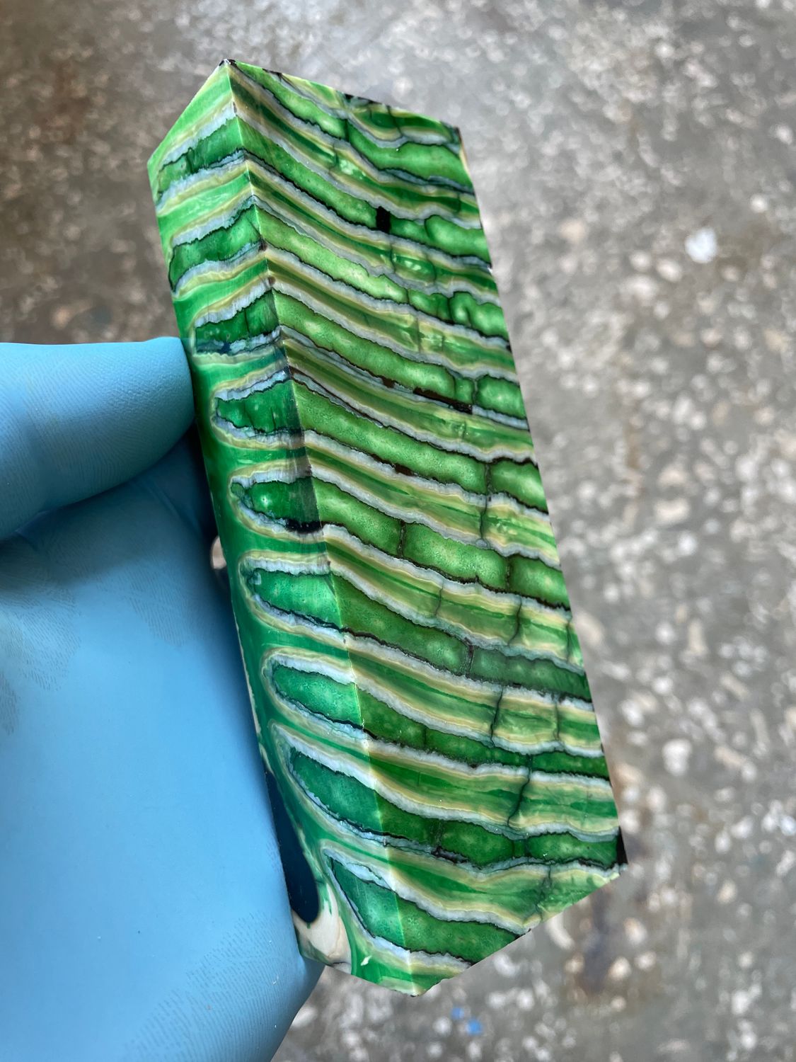 Product catalog: mammoth tusks, teeth, stabilized plates and discs