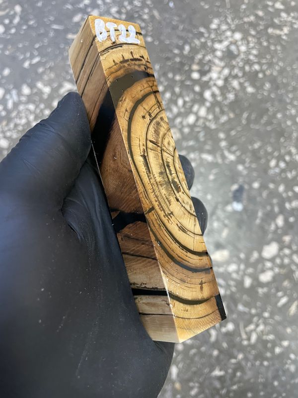 Stabilized Mammoth Tusk Pen Blank – Fossil Ivory Block BT22