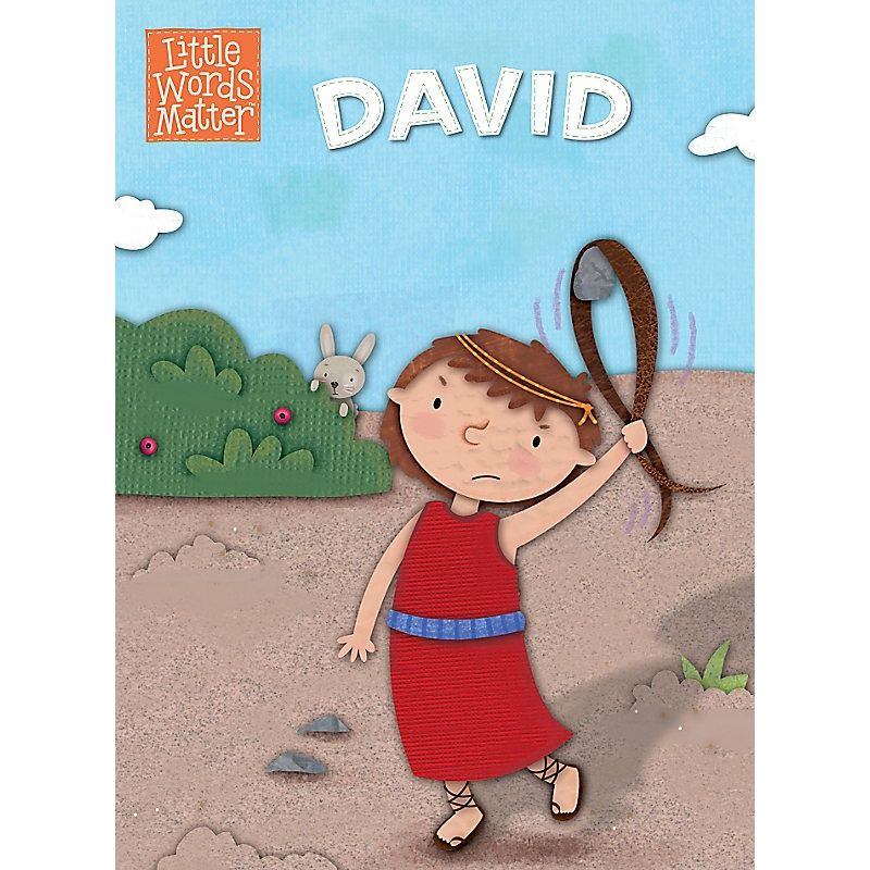 David Picture Book