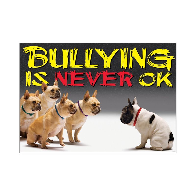 Bullying is Never Ok Poster