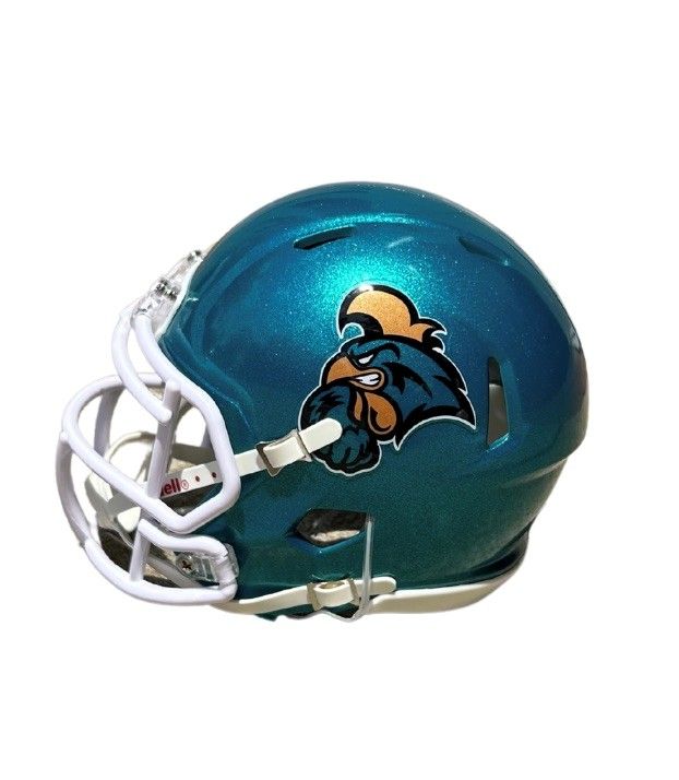 Riddell Mini Helmet - Store
