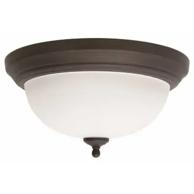 Monument 2-Light 13-1/4 in. x 6-1/4 in. Flush Mount Ceiling in Fixture ...