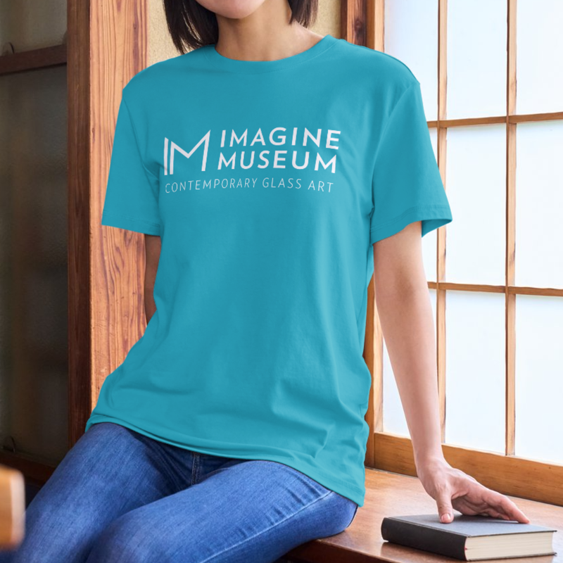 Imagine Museum Collection
