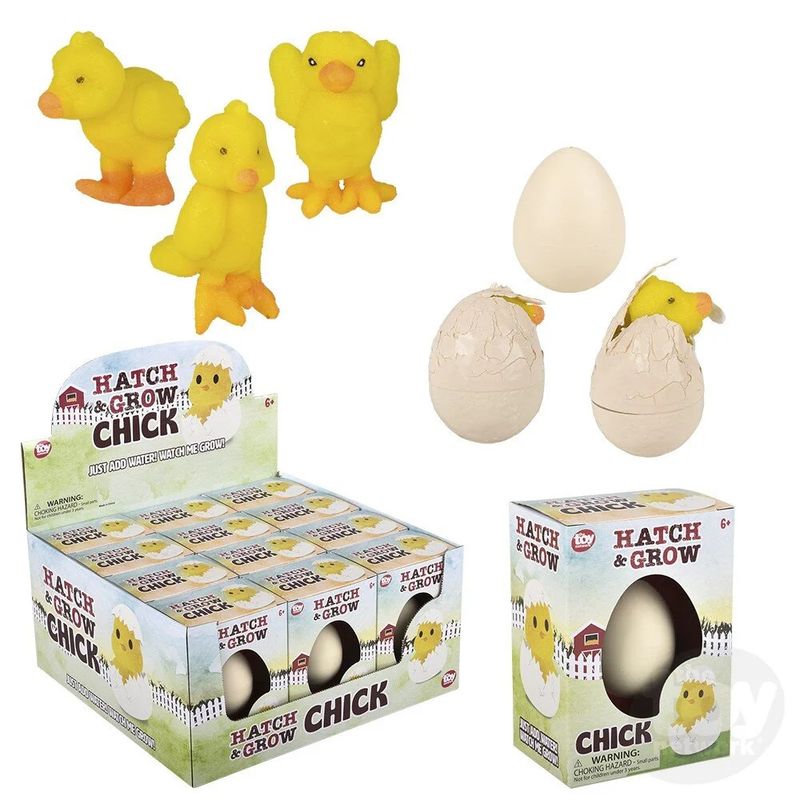 SMALL HATCH AND GROW CHICK EGG