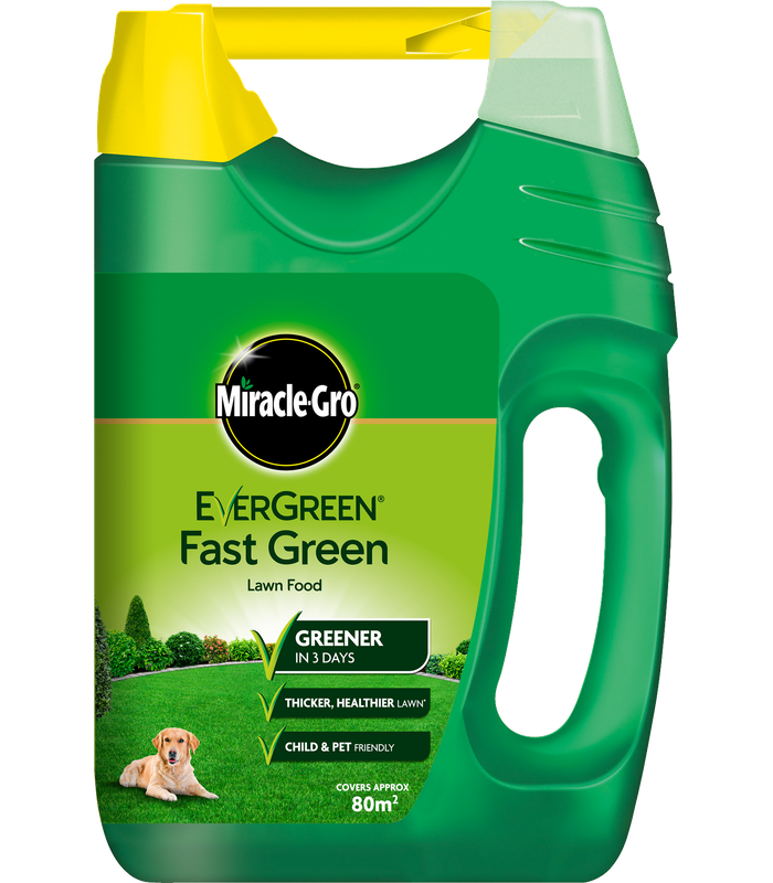 EVERGREEN FAST GREEN SPREADER 80M2