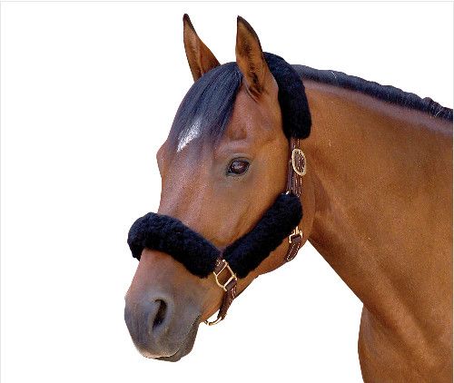 17-0058-Black- HALTER TUBE SET