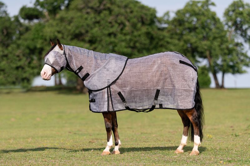 Fly Sheet