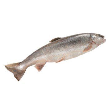 Poisson Six surgélé - 1kg