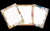Natural History Frames