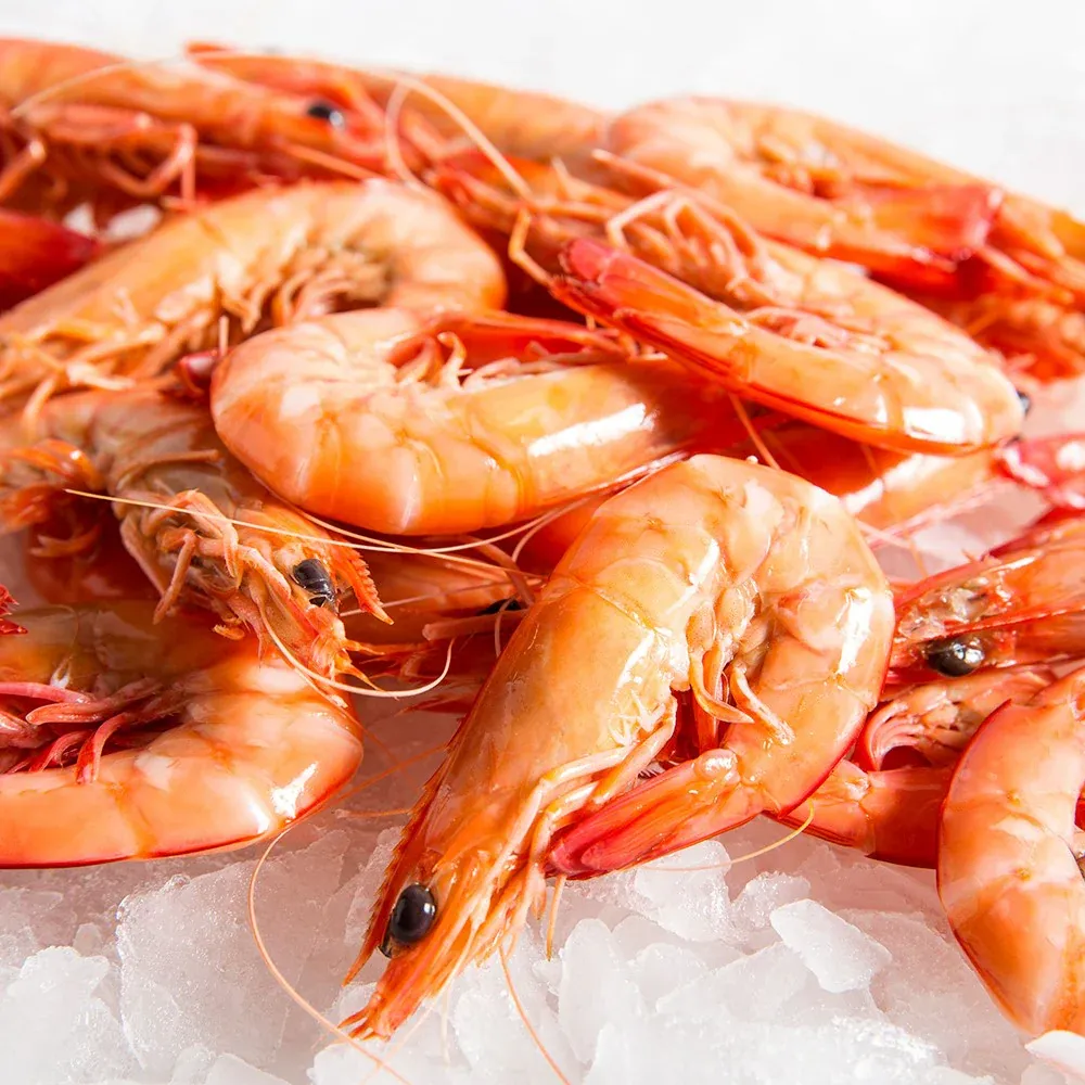 Large King Prawns Cooked (kilo - approx 10-15 prawns)