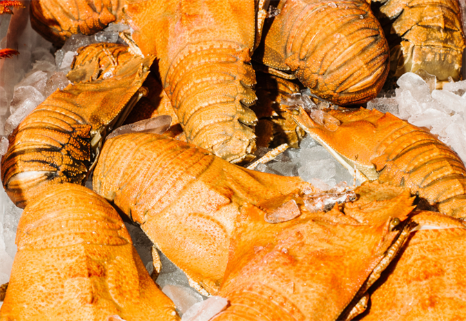 Moreton Bay Bugs Extra Large Whole Cooked (Kilo)