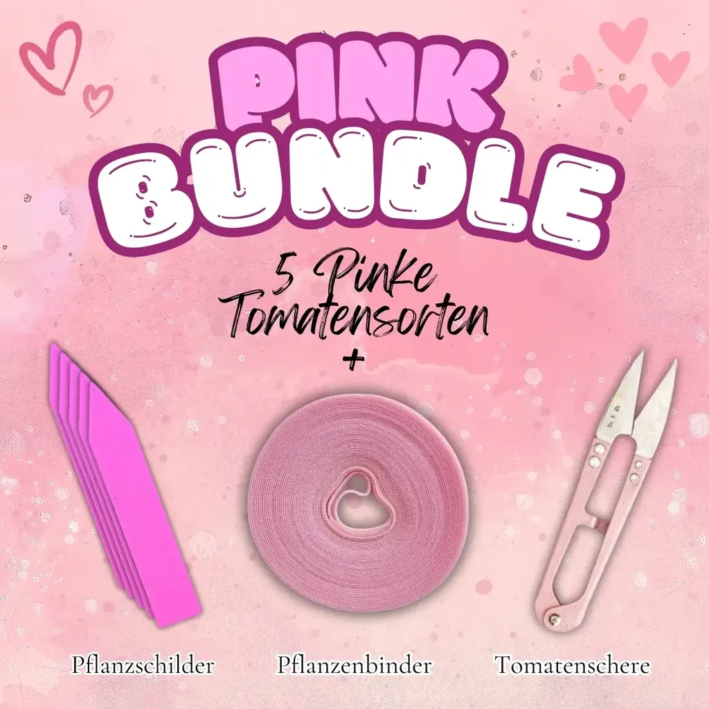 Pink Bundle