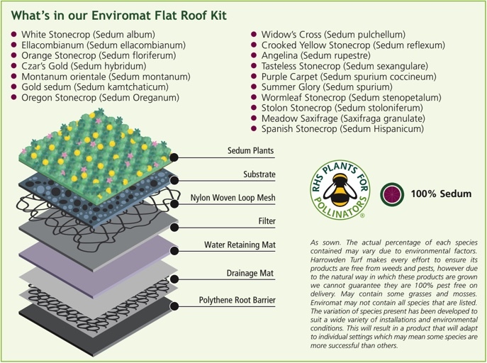 Sedum Enviromat Flat Roof | Wild Flower Meadow Turf - Meadowmat