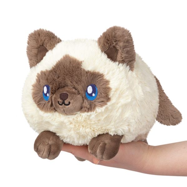SQUISHABLE 7" COLORPOINT KITTY