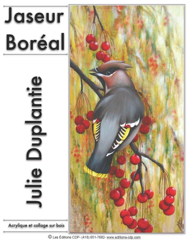 Jaseur Boréal-JD (French)