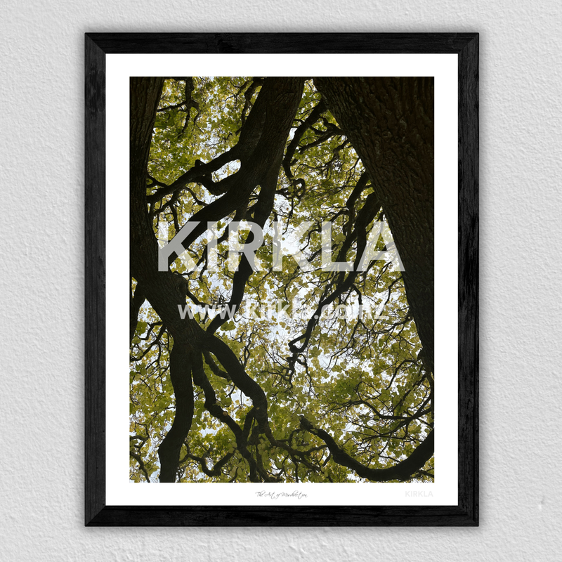 The Art of Misdirection Print