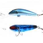 SMAK 12 - 39 - Boondooma Blue