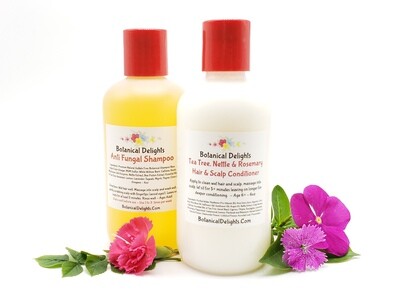 Fungus, Yeast, Tinea Versicolor - Botanical Delights