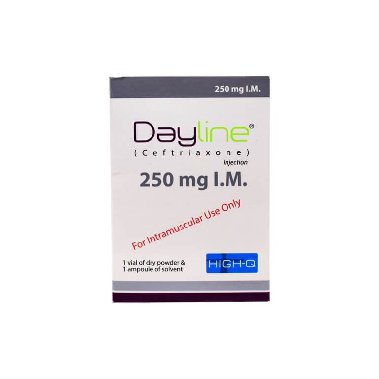 DAYLINE 250 IM MG 1 VIAL INJECTION