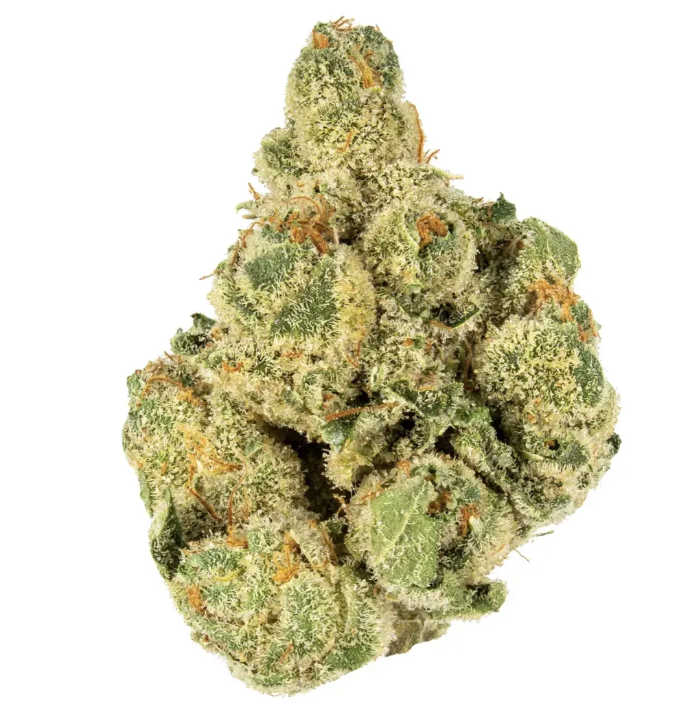 Exotic
