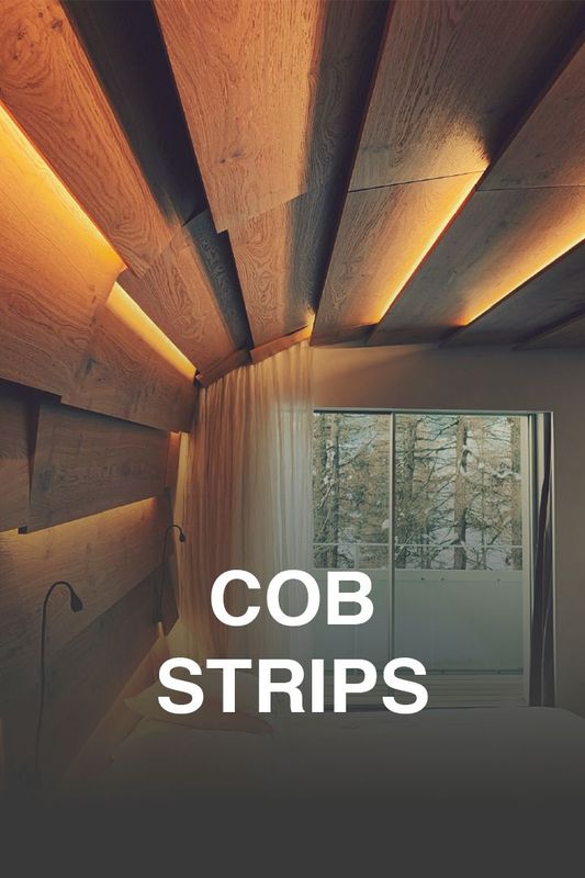 COB Strips