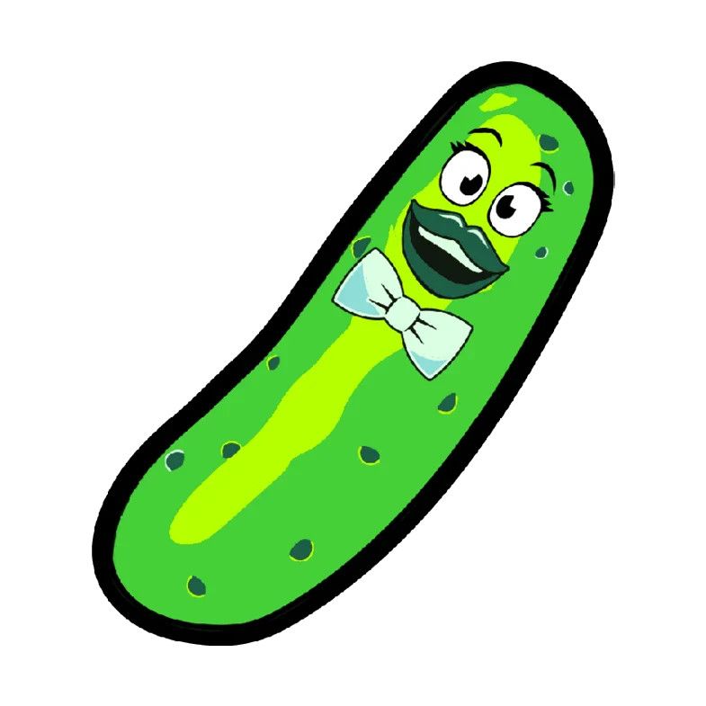 NoSo Pickle Repair Patch – Waterproof & Durable