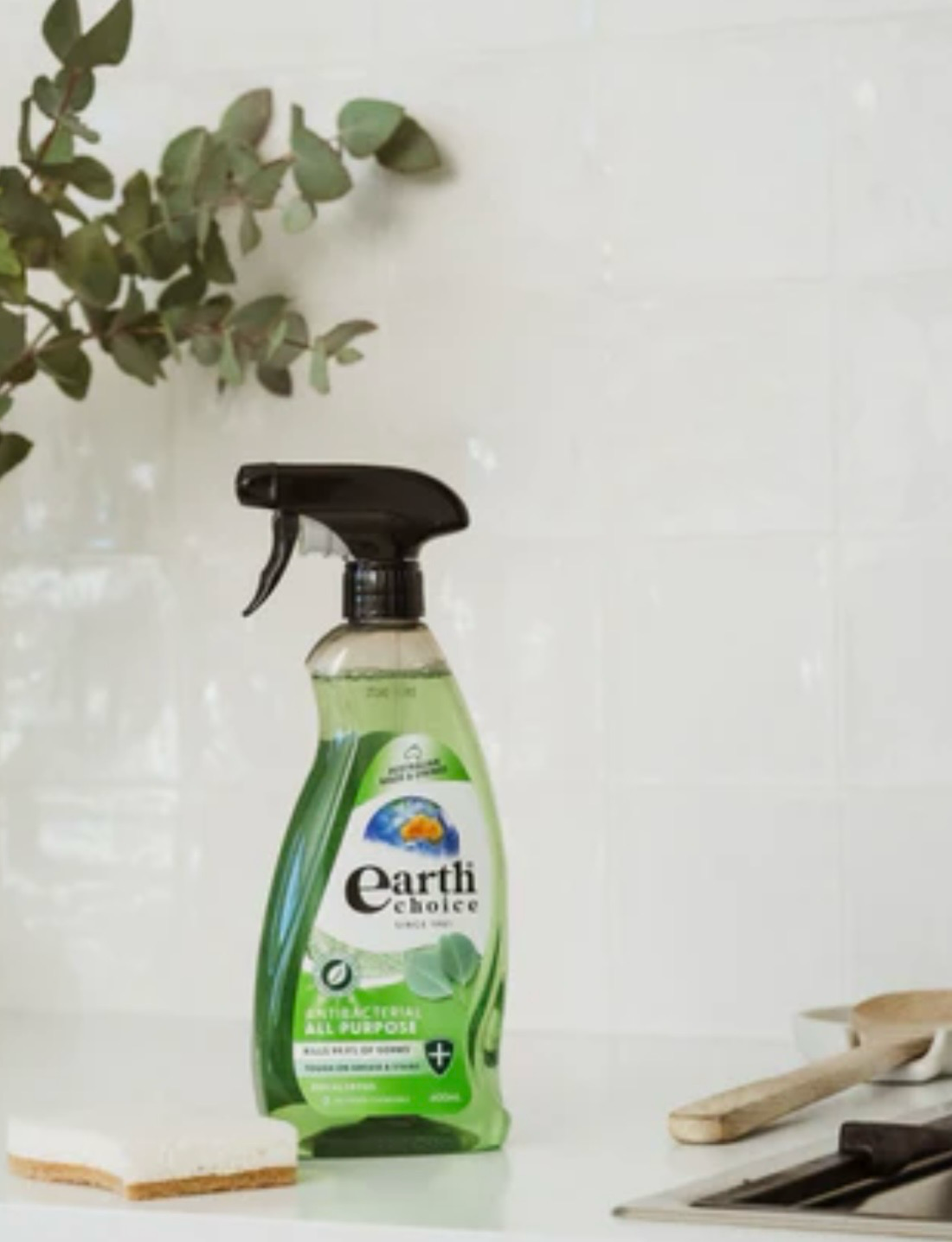 Cleaning Services | Cleaning Professionals | New South Wales