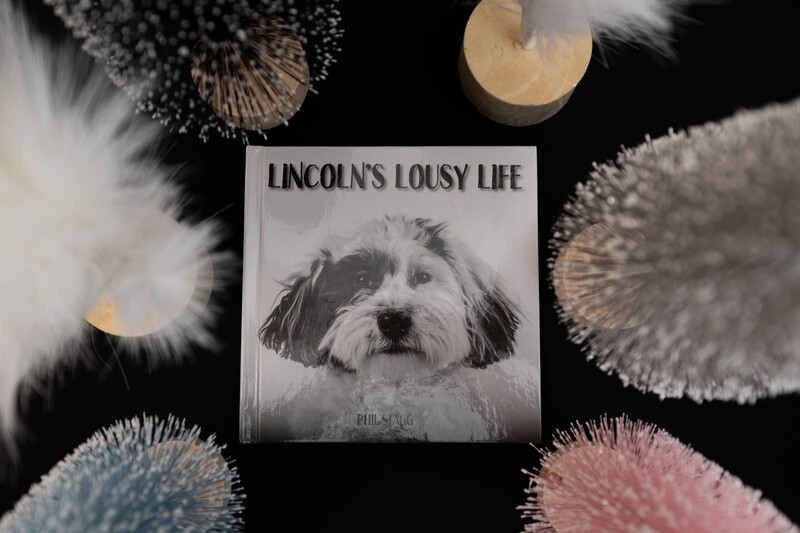 LINCOLN'S LOUSY LIFE - MI PUZZLES - PHIL STAGG PHOTOGRAPHY