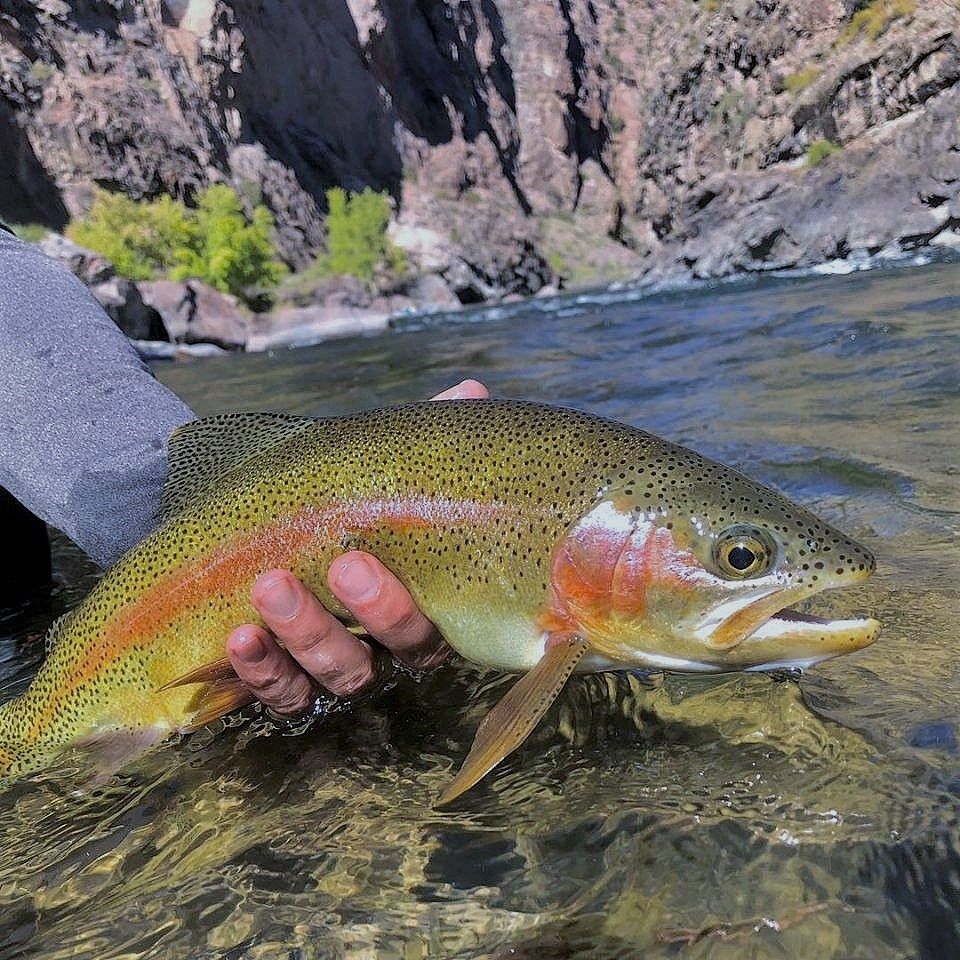 Fly Fishing Seasons