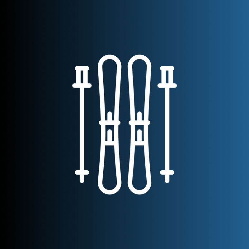 Top Quality Skis for All Levels | Alpenland.ca