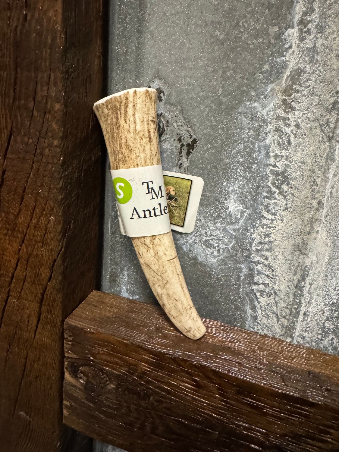 Small Whole Elk Antler Dog Chew - Shop Natural Deer & Elk Antler Dog ...