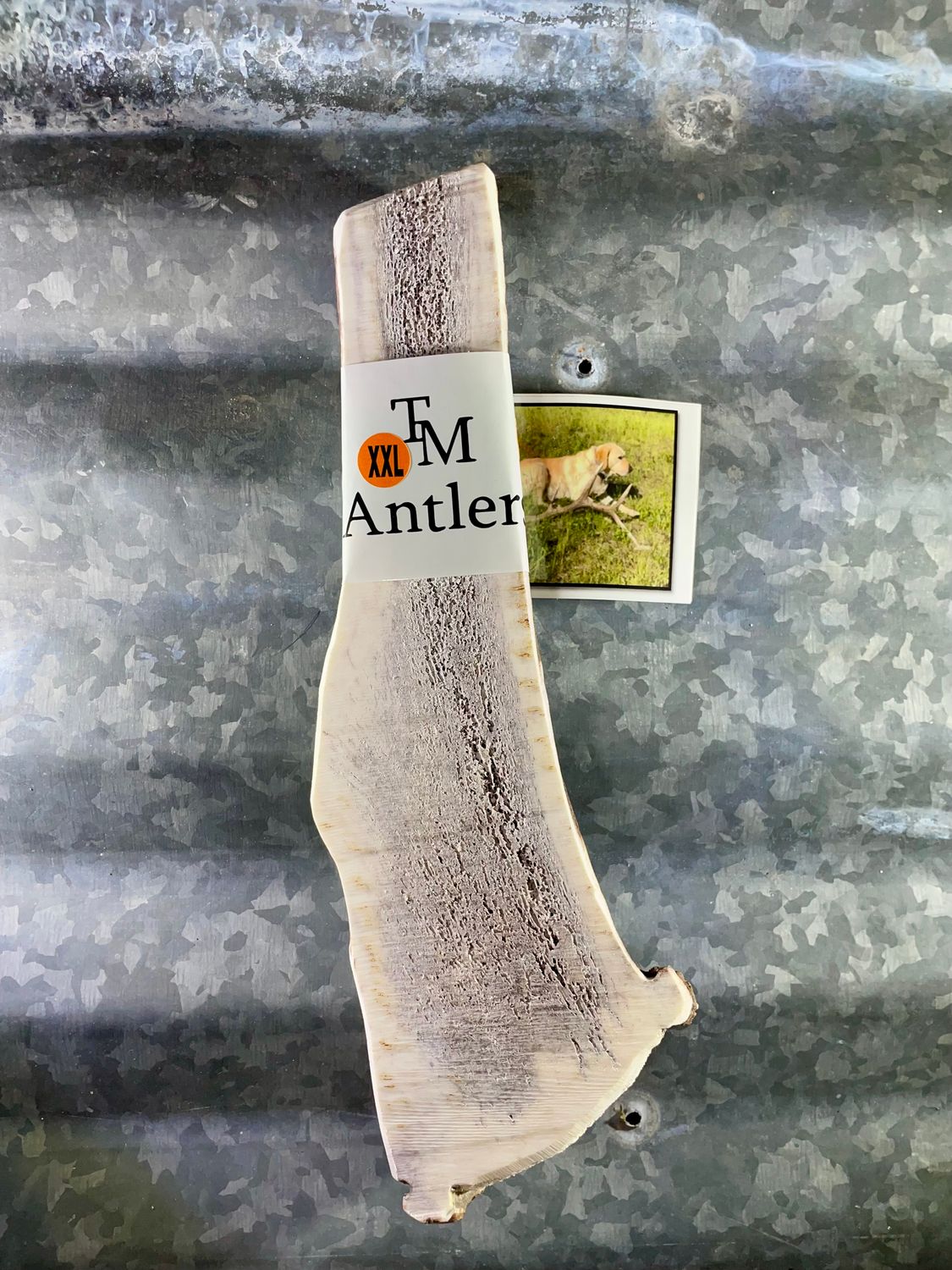 XXL Split Elk Antler Dog Chew - Shop Natural Deer & Elk Antler Dog ...