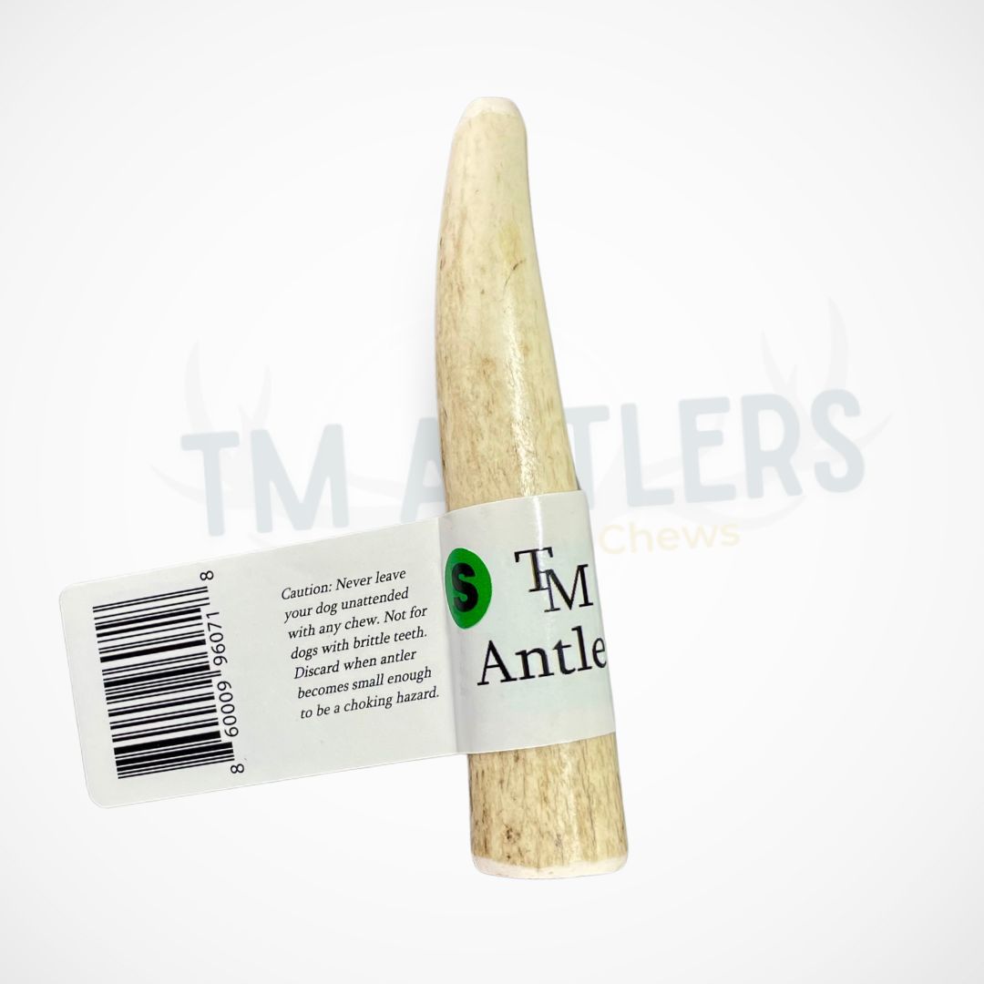 Shop Natural Deer & Elk Antler Dog Chews | Long-Lasting & Safe Treats