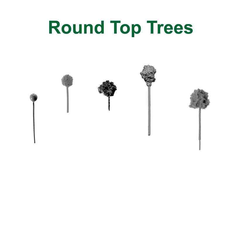 Round Top Tree