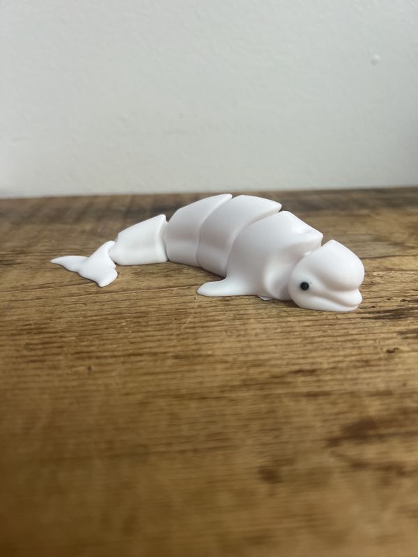 3D Printed Baluga