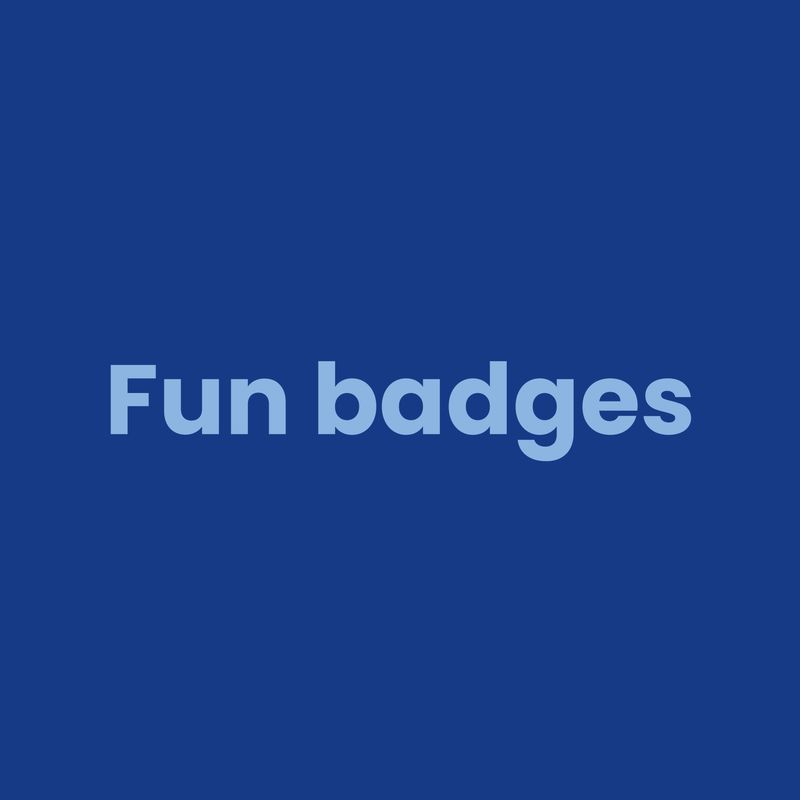 Guides fun badges