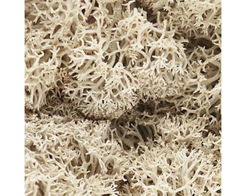 Woodland Scenics Lichen Bag, Natural/82 cu. in.