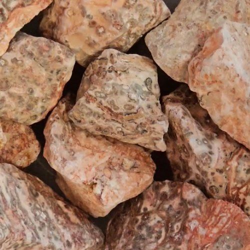 Jasper Leopardskin aka Rhyolite Rough Stone 1"-2"