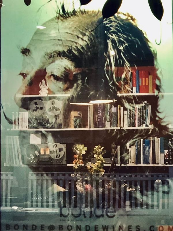 Wine Club | Bonde Fine Wine Shop