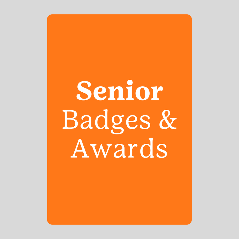 Seniors Badges and Awards