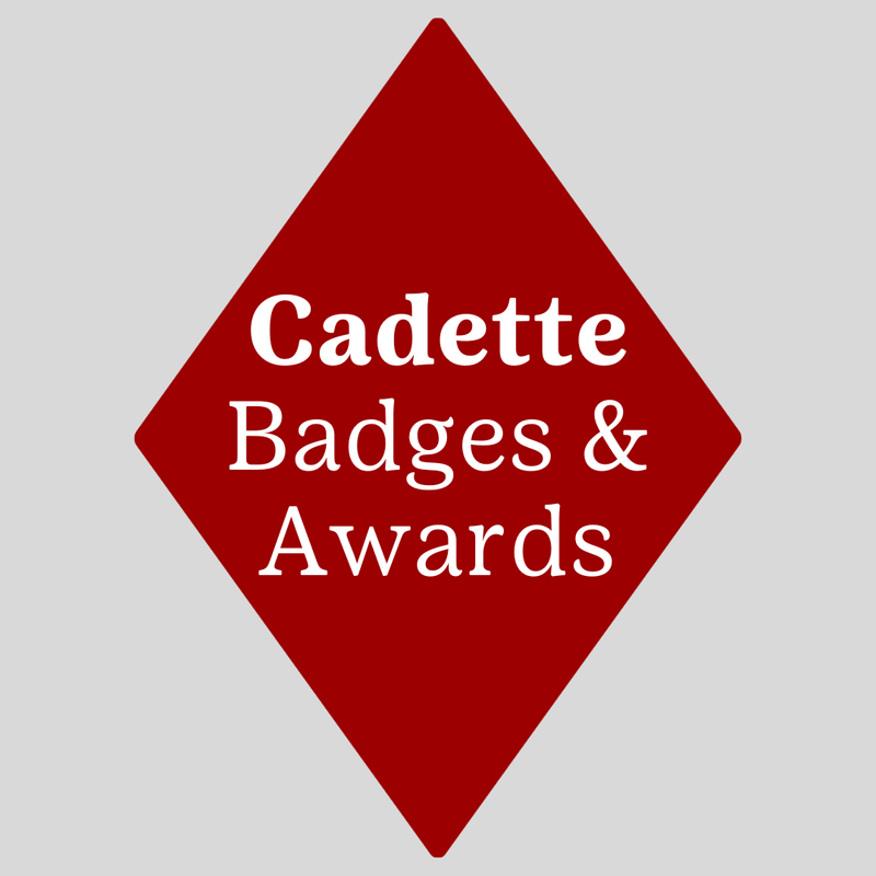 Cadette Badges and Awards