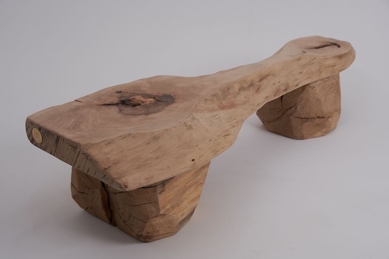 Leszy, Natural Sculpted Wood Bench – Organic Minimalism