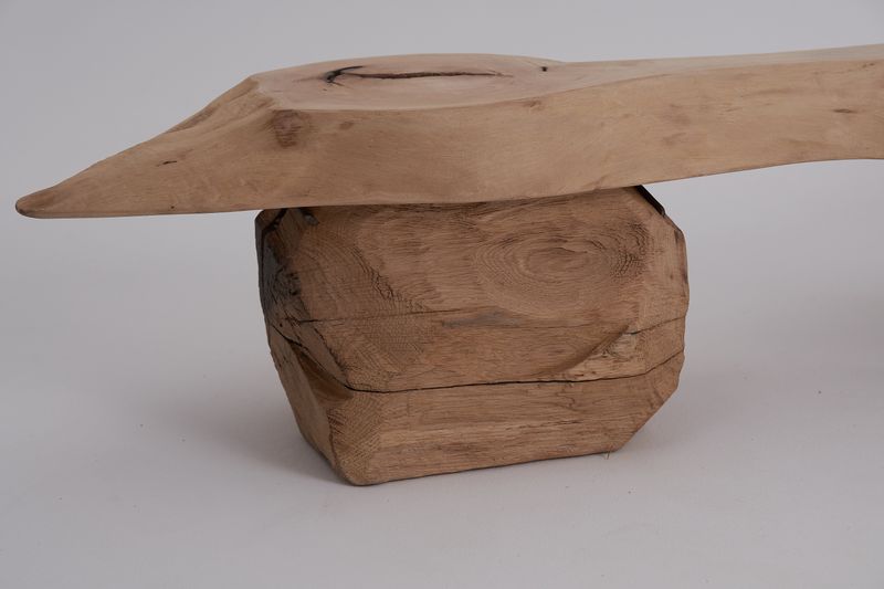 Leszy, Natural Sculpted Wood Bench – Organic Minimalism