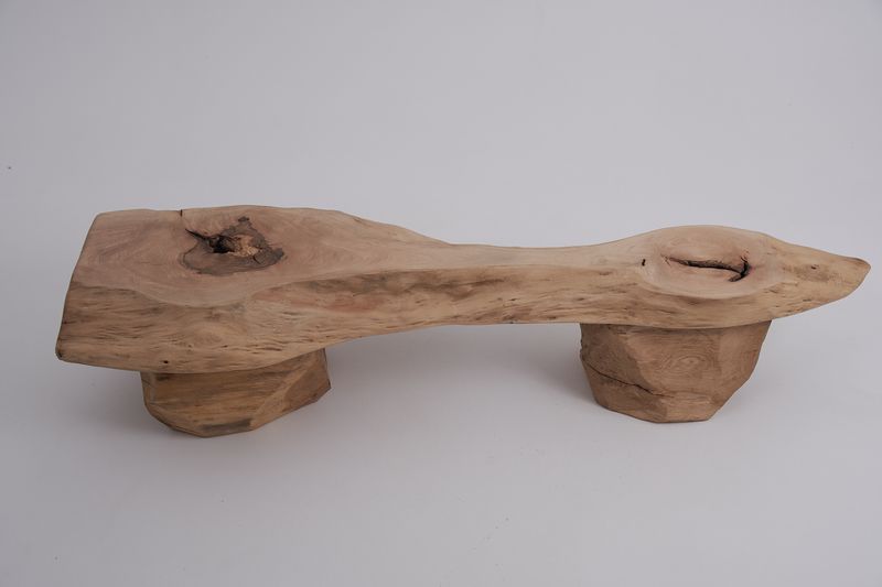 Leszy, Natural Sculpted Wood Bench – Organic Minimalism