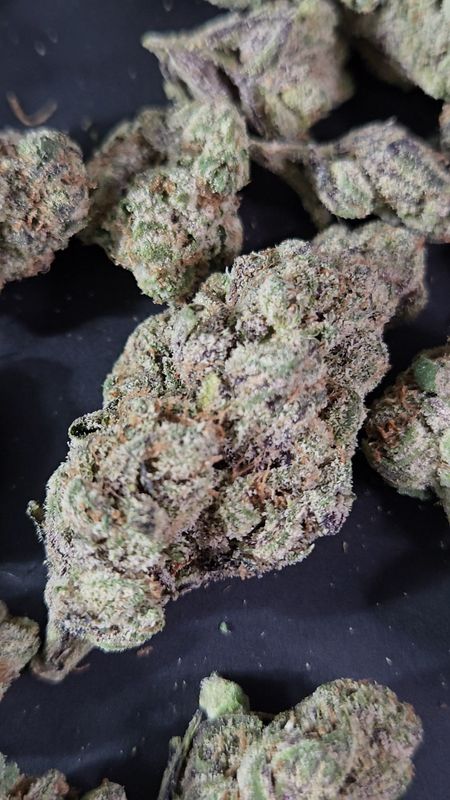 Blue Candy Zours