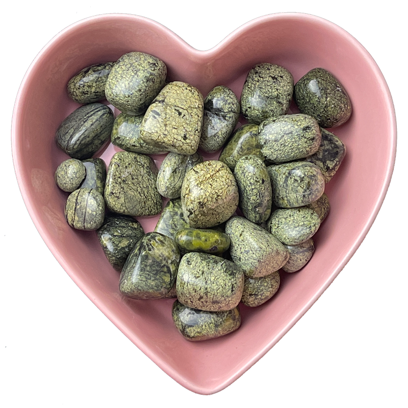 Asterite Serpentine Tumbled Stone Natural Gemstone - One Stone