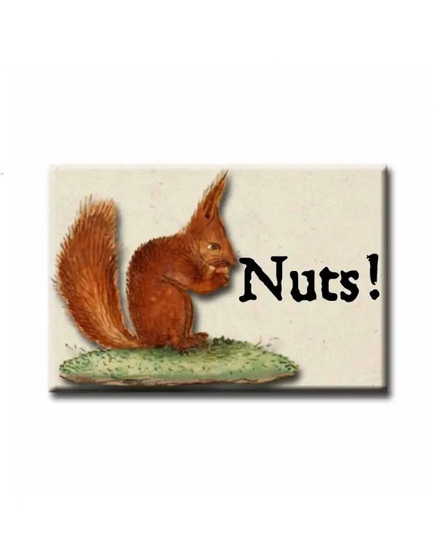 Squirrel “Nuts!” Magnet