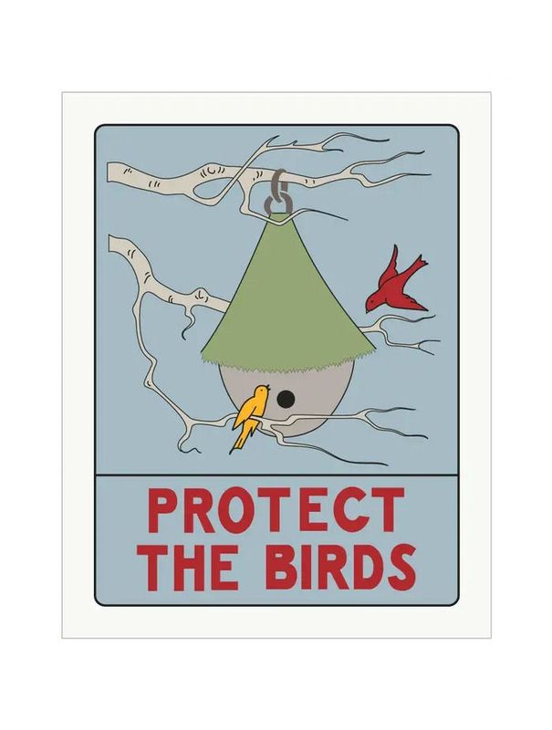 Protect The Birds Magnet