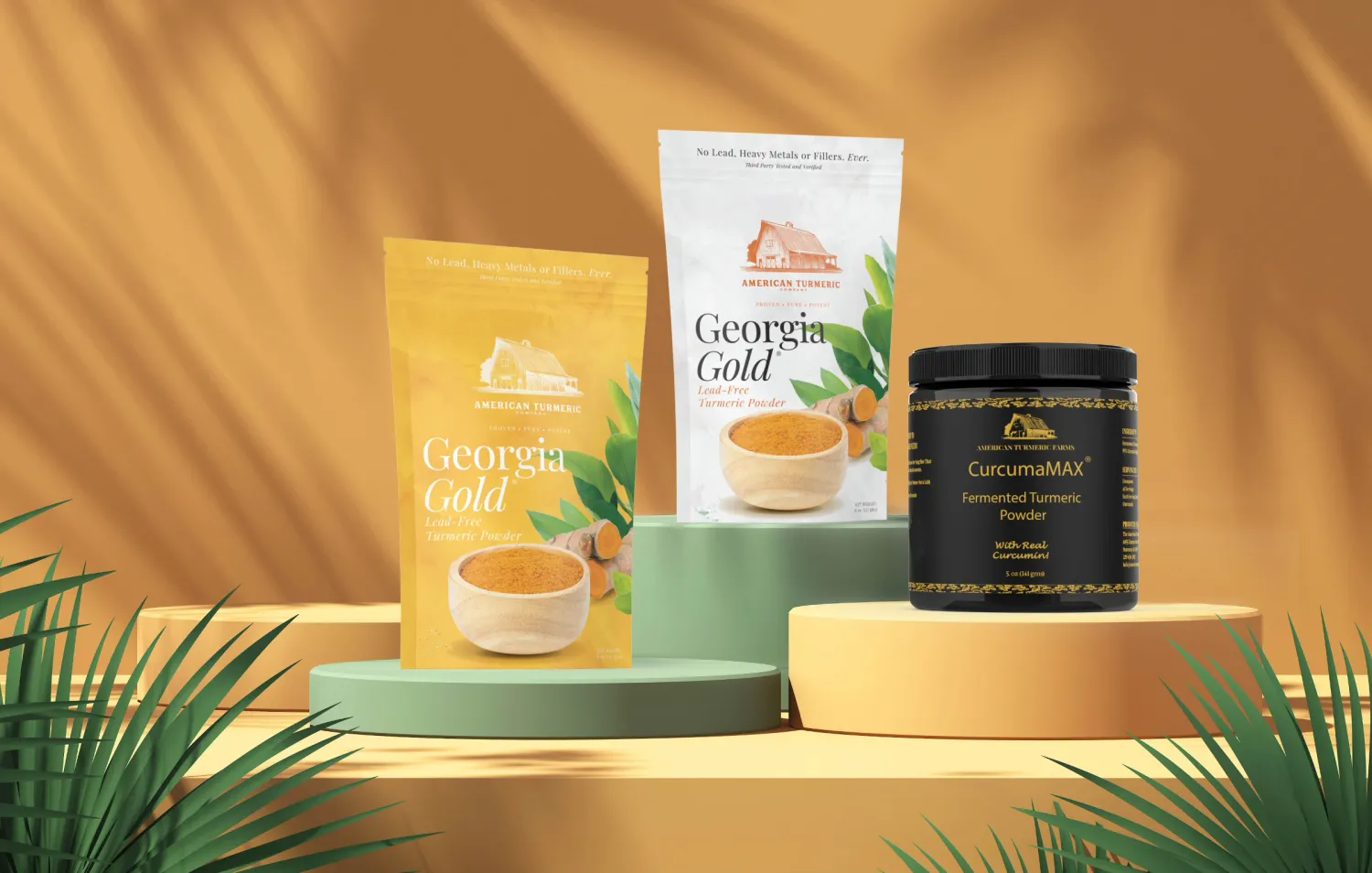 Turmeric Powder: Regular, Fermented, Concentrated Curcumin