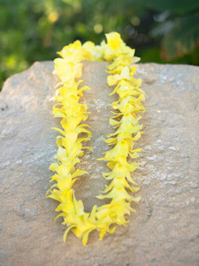Dyed Yellow On White Orchid Lei| Buy Hawaiian Lei